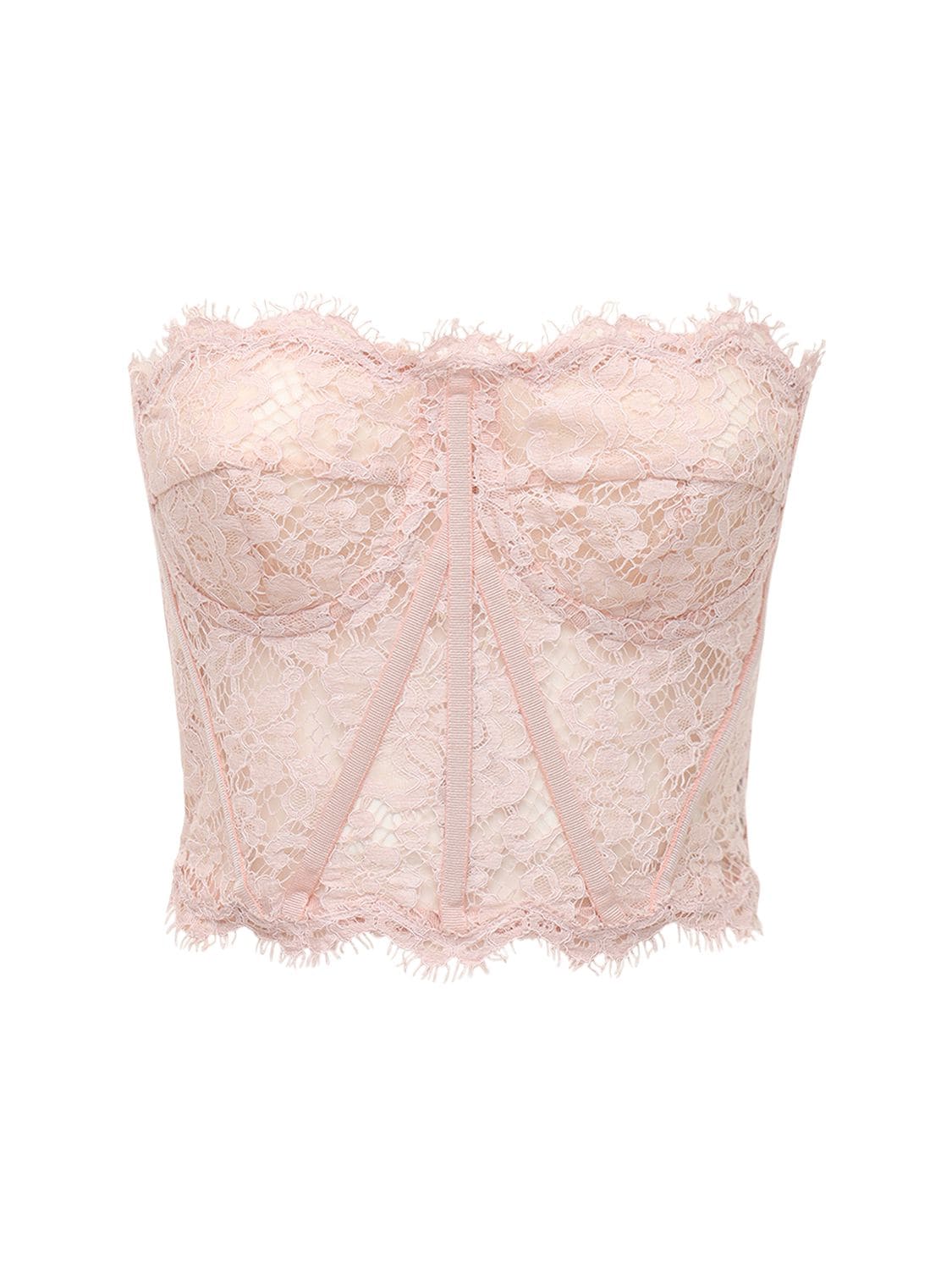 Dolce And Gabbana Lace Sheer Bustier Crop Top In Nude Modesens